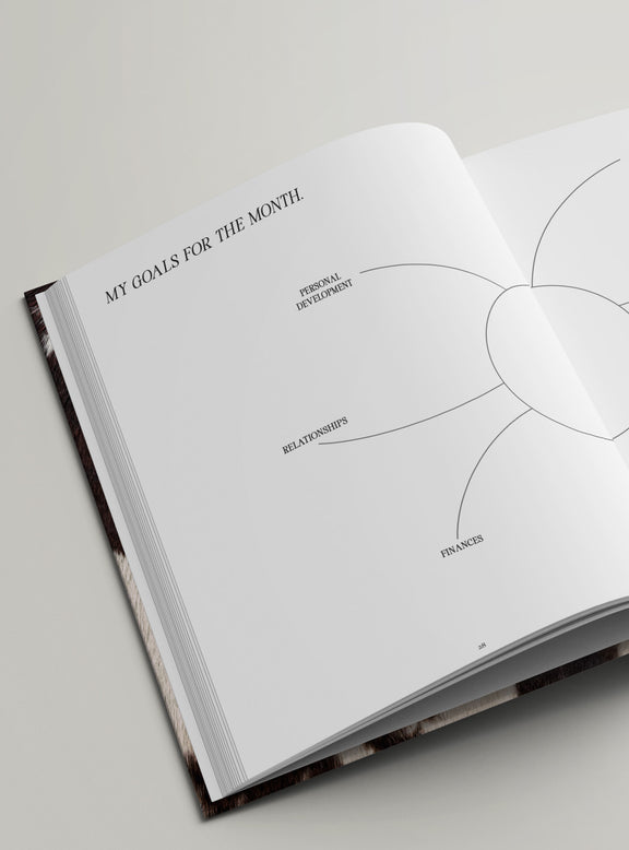 The Daily Planner (Undated) – Productivity Method