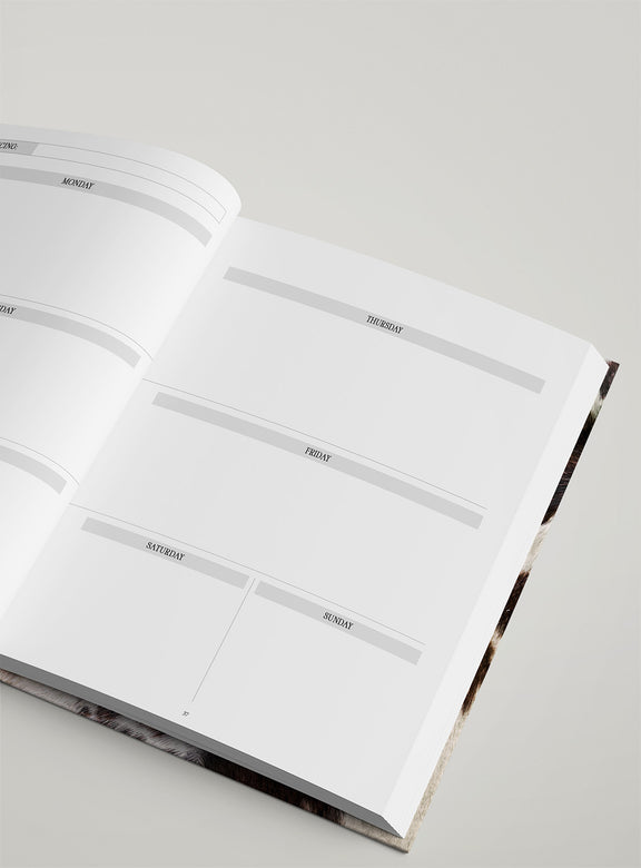The Daily Planner - Cow Print by Grace Beverley – Productivity Method